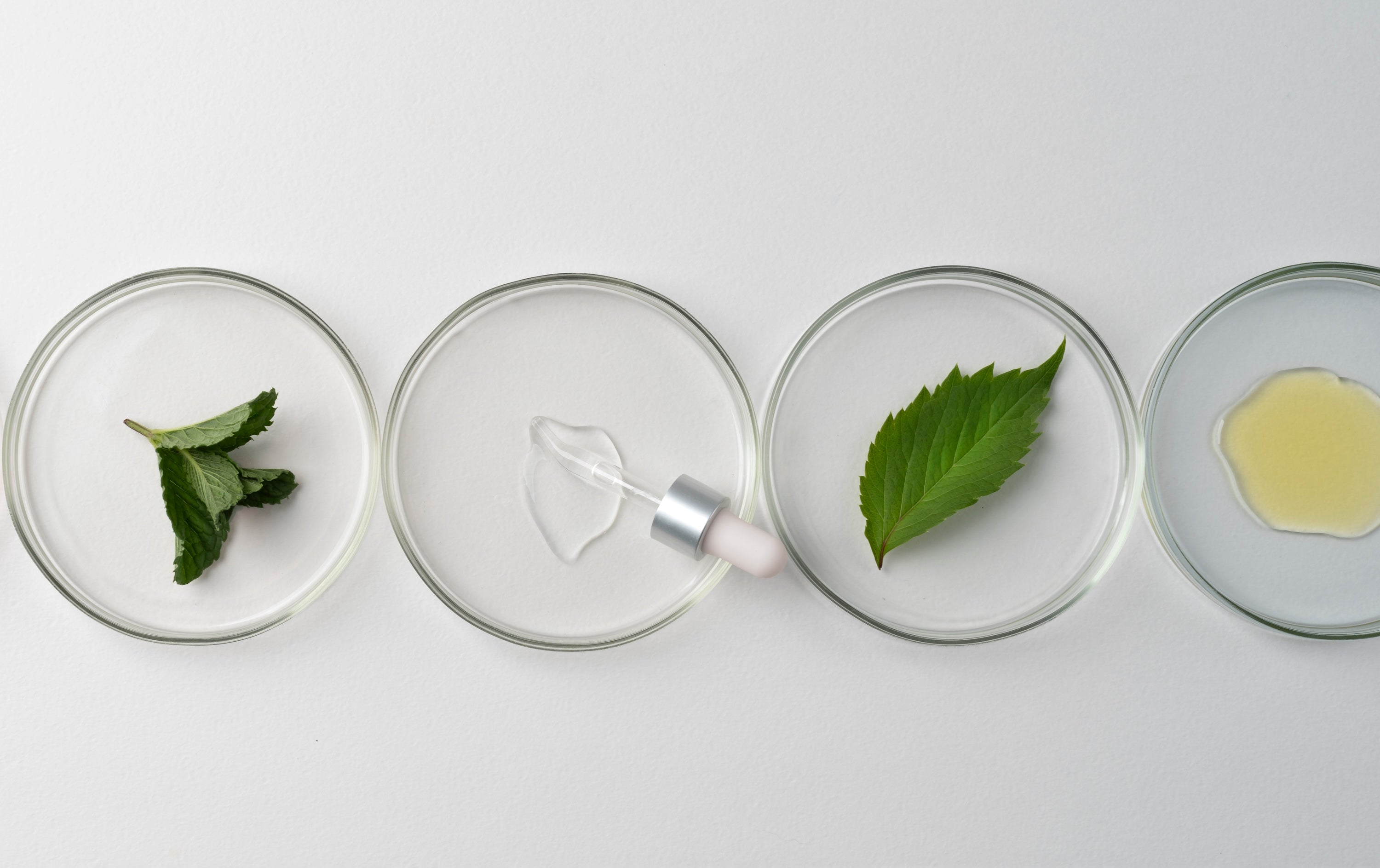 The Cosmetic Science Guide to Marketing Terms – SAMFARMER